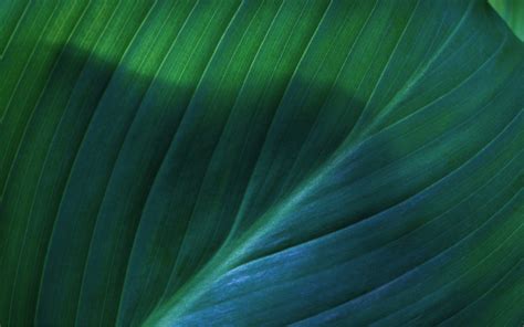 News And Media Db Results Thailand