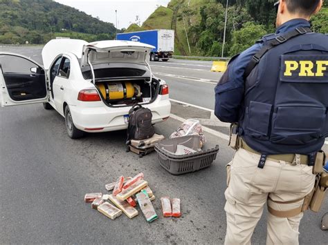 Prf Prende Jovem Com Mais De 11 Kg De Maconha Dentro De Mala Em Juquiá