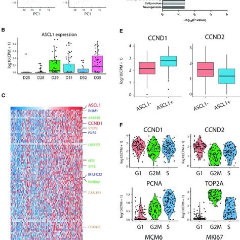 Single Cell Developmental Trajectory Analysis Using Monocle2 A Using