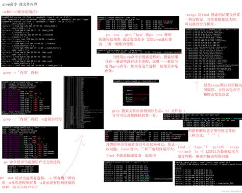 Linux复习笔记2文件属性，用户组，fnd命令，grep命令， Exec和管道linux管道命令和exec Csdn博客