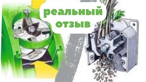 Садовый измельчитель лучший помощник в саду и огороде. Какой выбрать ...