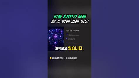 리플 Xrp가 폭등 할 수 밖에 없는 이유 Youtube