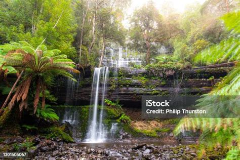 폭포 녹색 이끼 울창한 열대 우림 환경이 있는 목가적인 자연 경관 0명에 대한 스톡 사진 및 기타 이미지 0명 강 경관 Istock