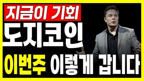 도지코인 전망 이번주 이렇게 갑니다 도지코인 비트코인 밈코인 Youtube