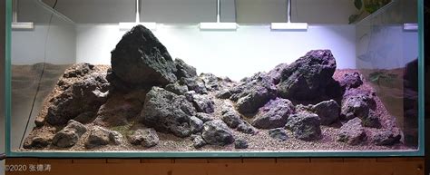 AGA 2020 Aquascaping Contest 247