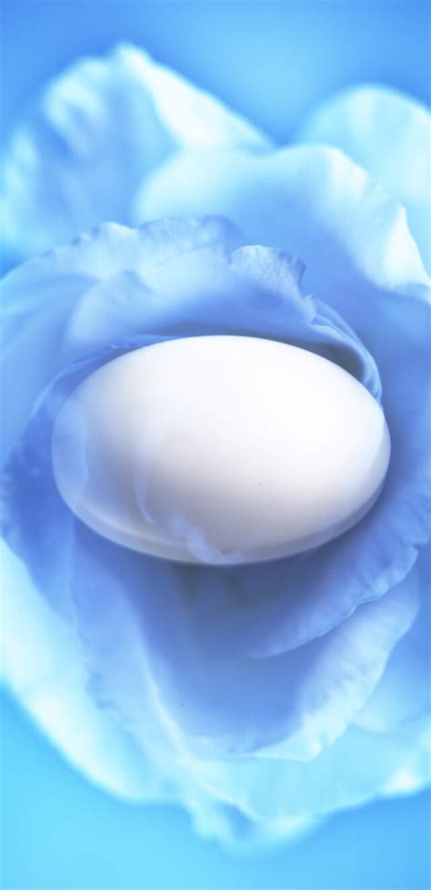 石鹸屋の歴史｜roston（ロストン）