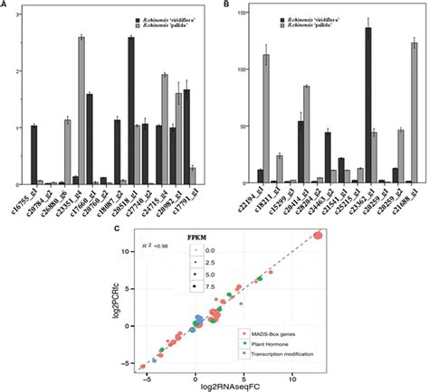 Expression Analyses Of Selected Genes A B Real Time Quantitative Download Scientific Diagram