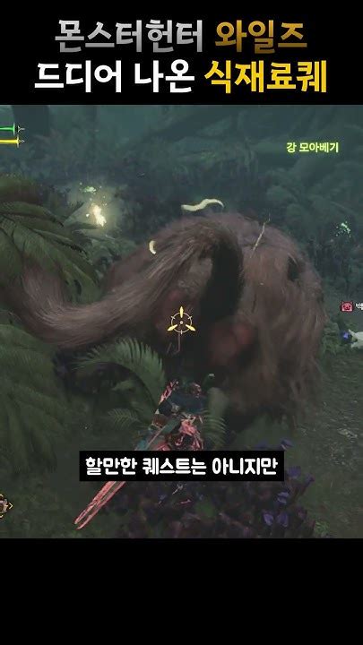 몬스터헌터 와일즈 드디어 나온 식재료 이벤트 퀘스트 Youtube 몬스터헌터 와일즈 드디어 나온 식재료 이벤트 퀘스트 Youtube
