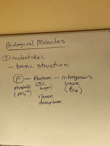 Biology Test 3 Flashcards Quizlet