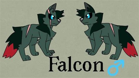 Oc Thunderclan Normal Warriors R Warriorcats