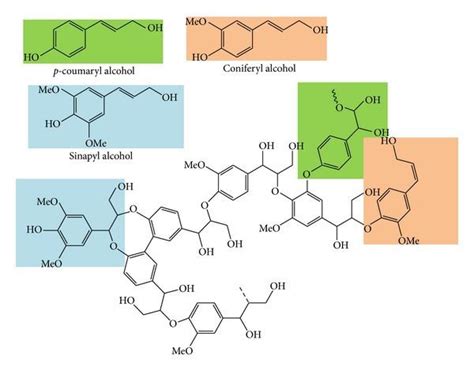Coniferyl Alcohol Alchetron The Free Social Encyclopedia