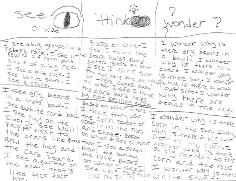 Visible Thinking Routines See Think Wonder