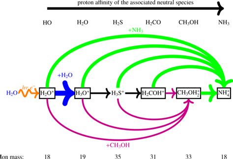 Schematic Of The Role Of Species With High Proton Affinity Molecules On