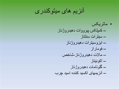 به نام پروردگار Ppt Download