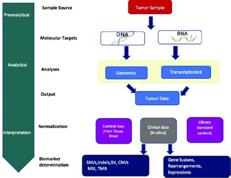 The Basic NGS Workflow Encompassing Pre And Postanalytical Parameters Download Scientific