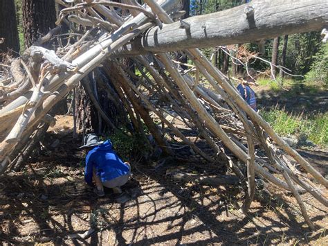 Wander Yonder Wild School Wander Yonder Wild School