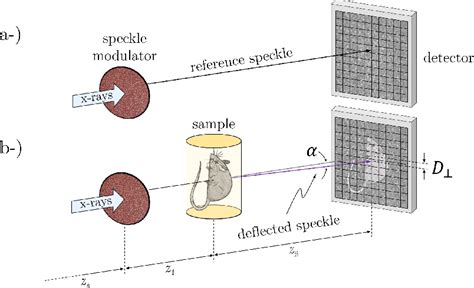 Figure 1 From Review Of Speckle Tracking Algorithms For X Ray Phase Contrast Imaging Low Dose