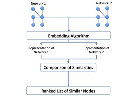quantifying node similarities among embeddings download scientific diagram