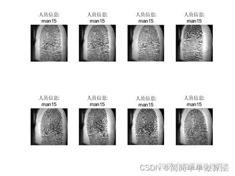 基于深度学习的人员指纹身份识别算法matlab仿真 知乎 基于深度学习的人员指纹身份识别算法matlab仿真 知乎