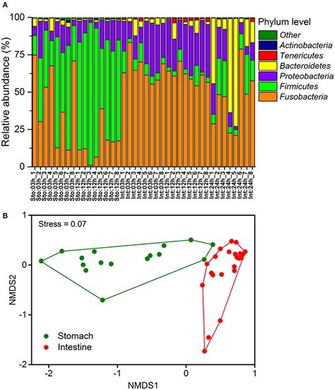 Frontiers High Spatial And Temporal Variations Of Microbial Community Along The Southern