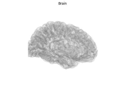 Plotting With Mne Viz Brain MNE 0 24 1 Documentation