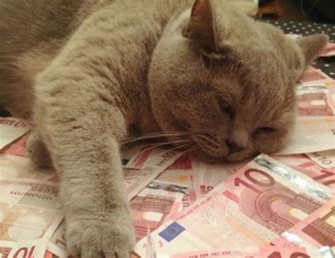 假如你中了500万，你会怎么花？ 知乎