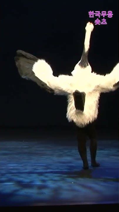 고전무용 무형문화재 학춤 한영숙류 학무 1인무 1편 무용가 정지윤 무대 공연 벽사 한영숙 선생 탄생 100주년 기념 무용공연 전통 춤 맥 잇기 Youtube