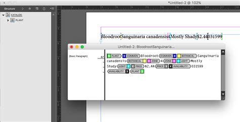 Creating A Dynamic Catalog With Indesign Templates And Xml Data