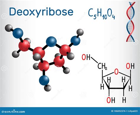 Chemical Structure Of Deoxyribose