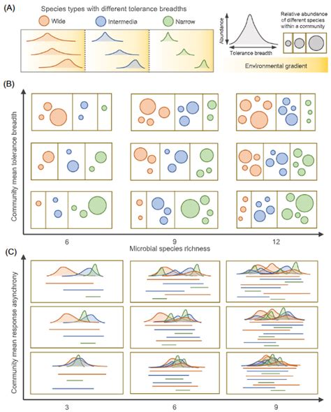 Mlife 森林土壤细菌群落的物种多样性与抵抗力潜能 知乎