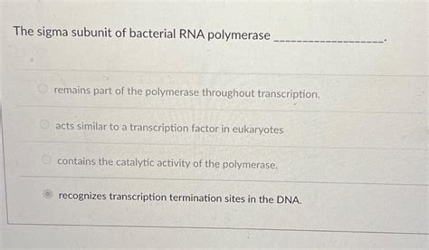 Solved The Sigma Subunit Of Bacterial Rna Polymerase Remains