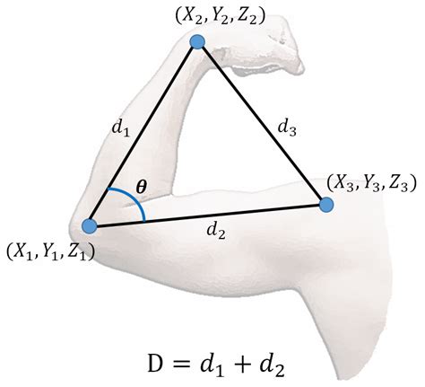 Parameters To Calculate The Articulation Angle Of Any Joint Download