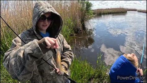 Lacomb Louisiana Bluegill Fishing With Grass Shrimp Bank Fishing