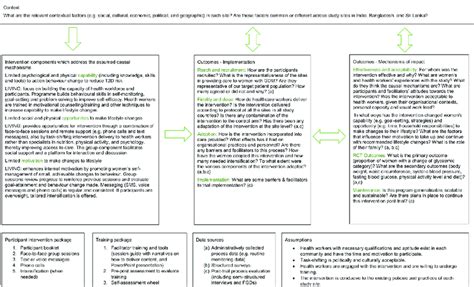 Process Evaluation Framework For The Living Intervention To Prevent Or Download Scientific