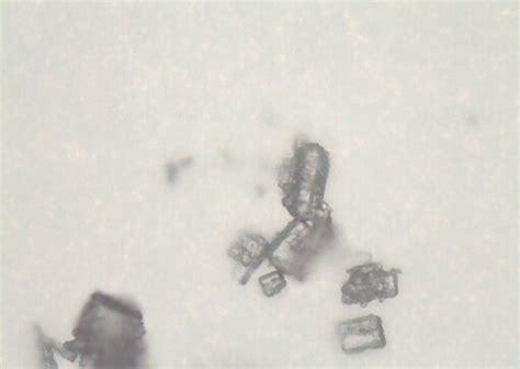 Sultamicillin Tosilate β Cd Inclusion Complex Download Scientific Diagram