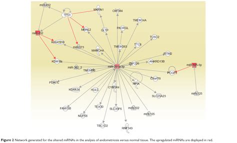 Mirna Expression Profiling In Formalin Fixed Paraffin Embedded Endomet Ott