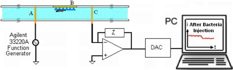 Schematic Of Experimental Setup Including Amplification Circuitry And