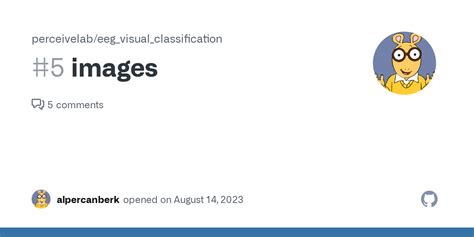 images · issue 5 · perceivelab eeg visual classification · github