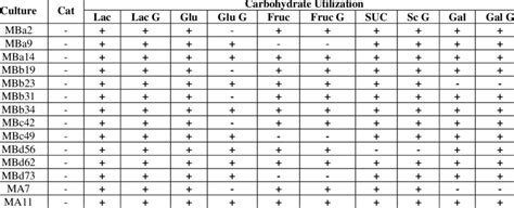 Biochemical Characterization Of Isolates Download Scientific Diagram