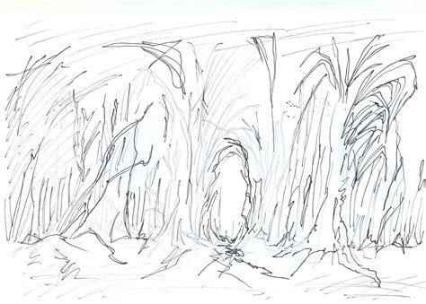 Scary Forest Drawing At GetDrawings Free Download