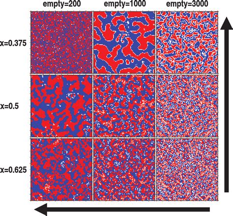 The Schelling Model Forming A Solid Structure This Figure Is A Mosaic