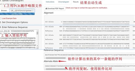 怎么拆分sanger测序图谱套峰 王进的个人网站