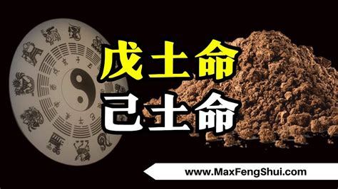 2023年戊土命己土命运势戊土人生厚积薄发己土做事最有条理他们的成功都依靠于这个东西 YouTube