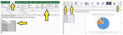 Graphing With Excel Ms Bagby Ap Biology
