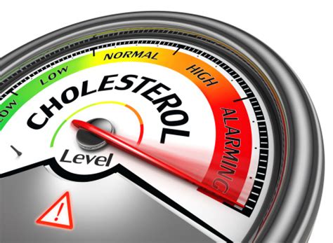 How Much Cholesterol Should You Have A Day