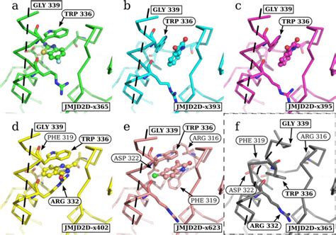 The Ligands Consistently Move The C Terminal Helix But Two Distinct