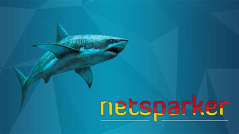 Netsparker Web Application Security Scanner By Career Technology Cyber Security India Pvt