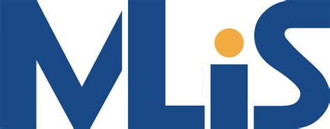 Mlis Securex Solution Limited