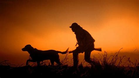 Dog Silhouette Wallpapers Top Free Dog Silhouette Backgrounds