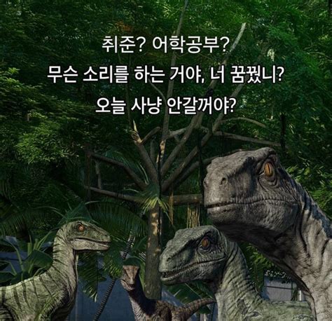 취준 어학공부 무슨 소리를 하는 거야 너 꿈꿨니 인스티즈instiz 이슈 카테고리